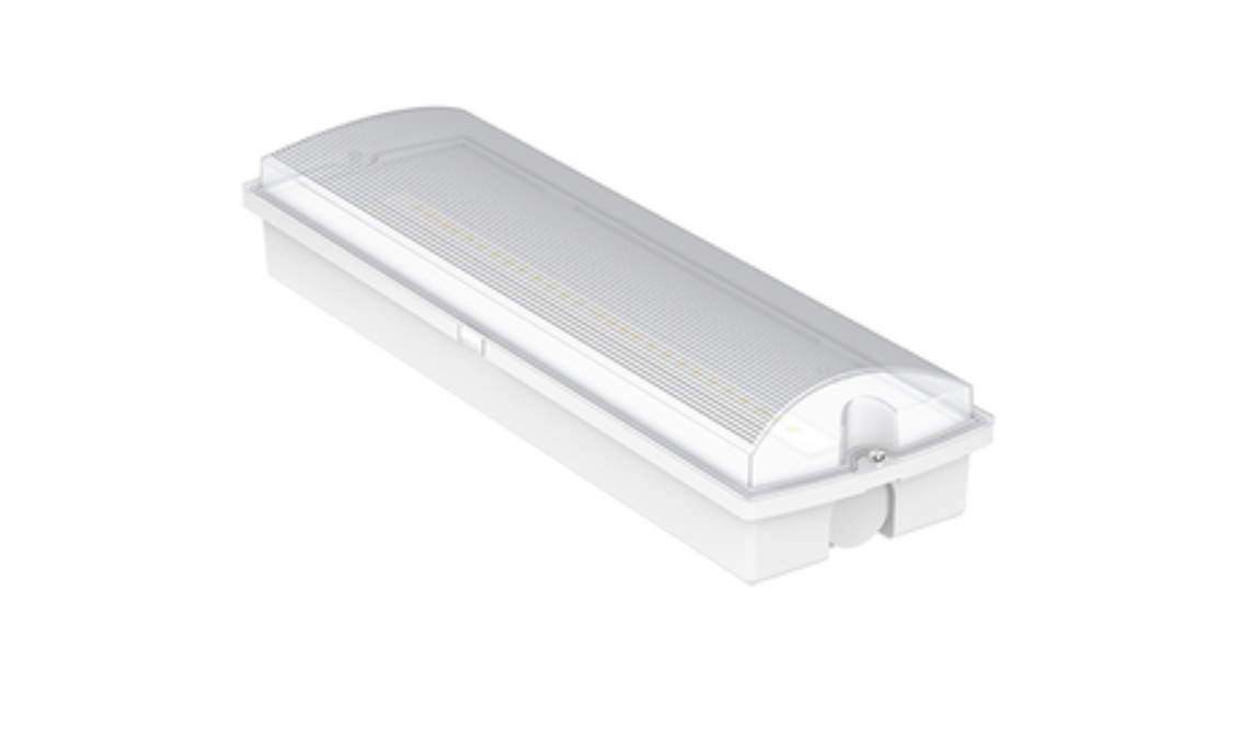 RIVELIN Dali Emergency Bulkhead, IP65, Maintained / Non-maintained, Li ...